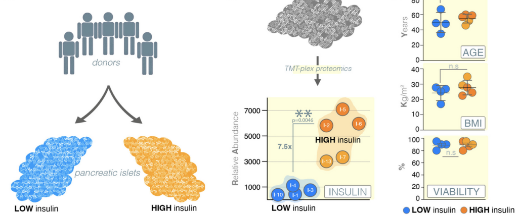 acta 2023 | CELL FATE LAB